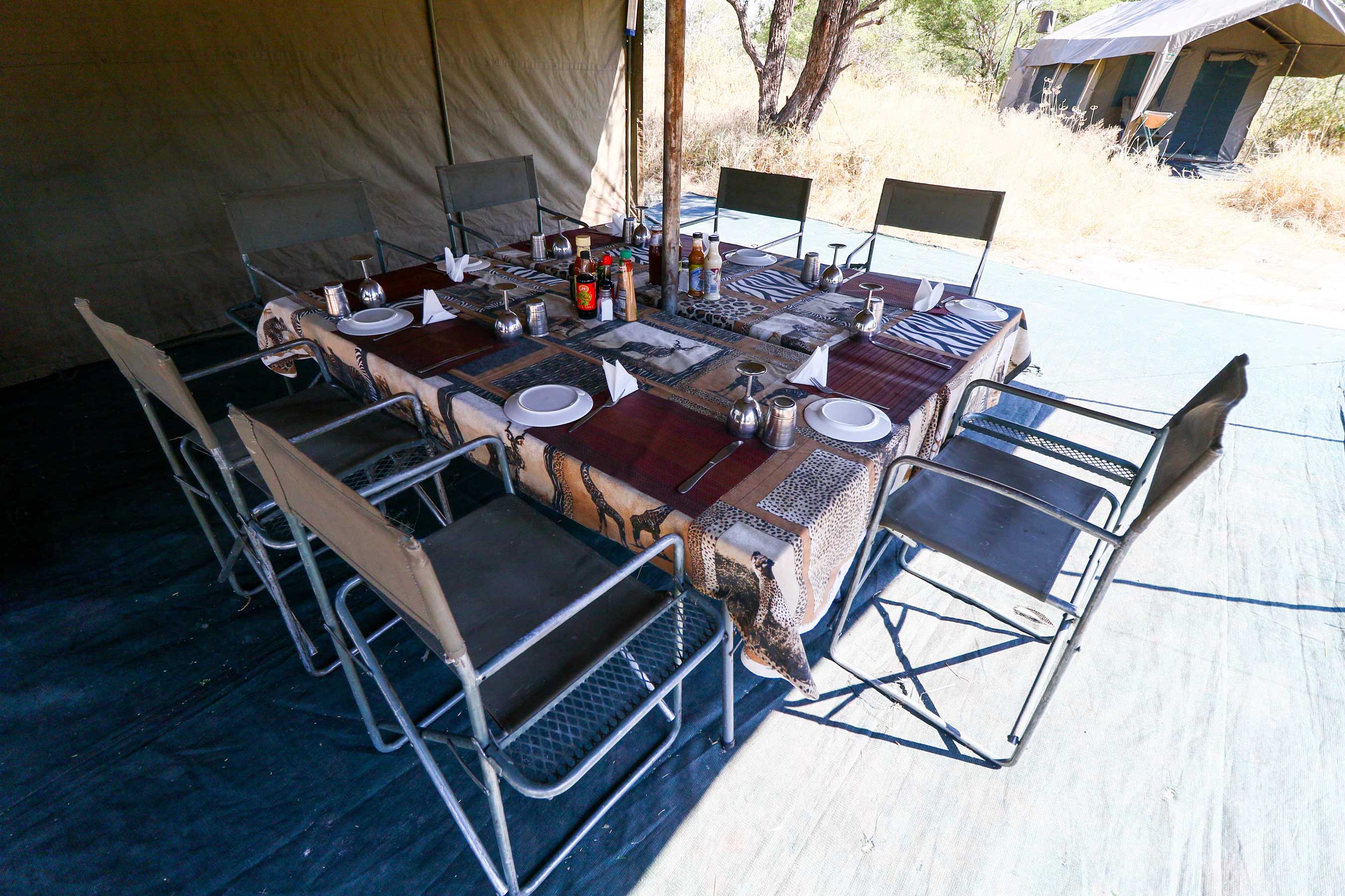 Safari Bush Party | Botswana Tourism Organisation