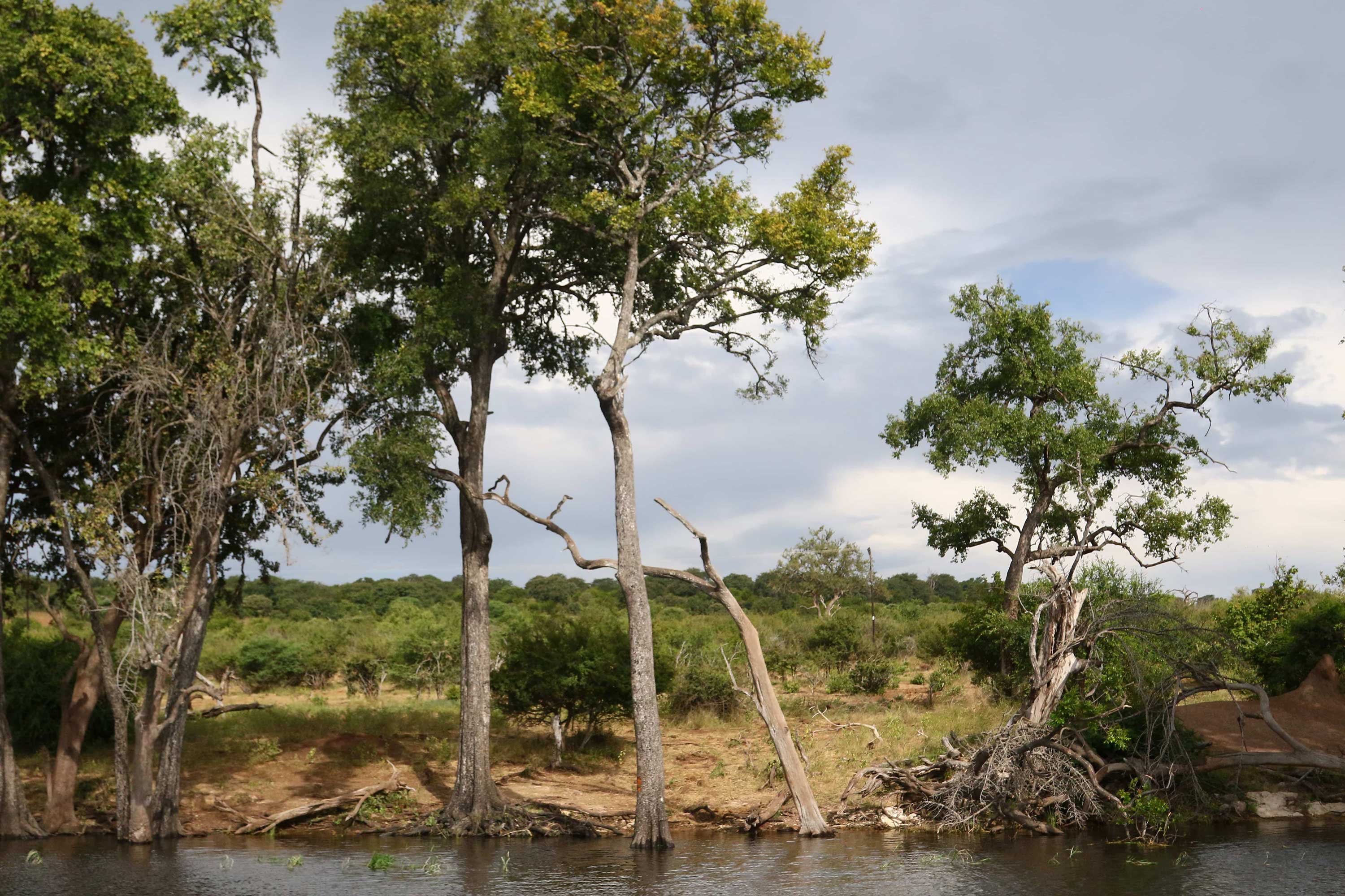 Chobe National Park | Botswana Tourism Organisation