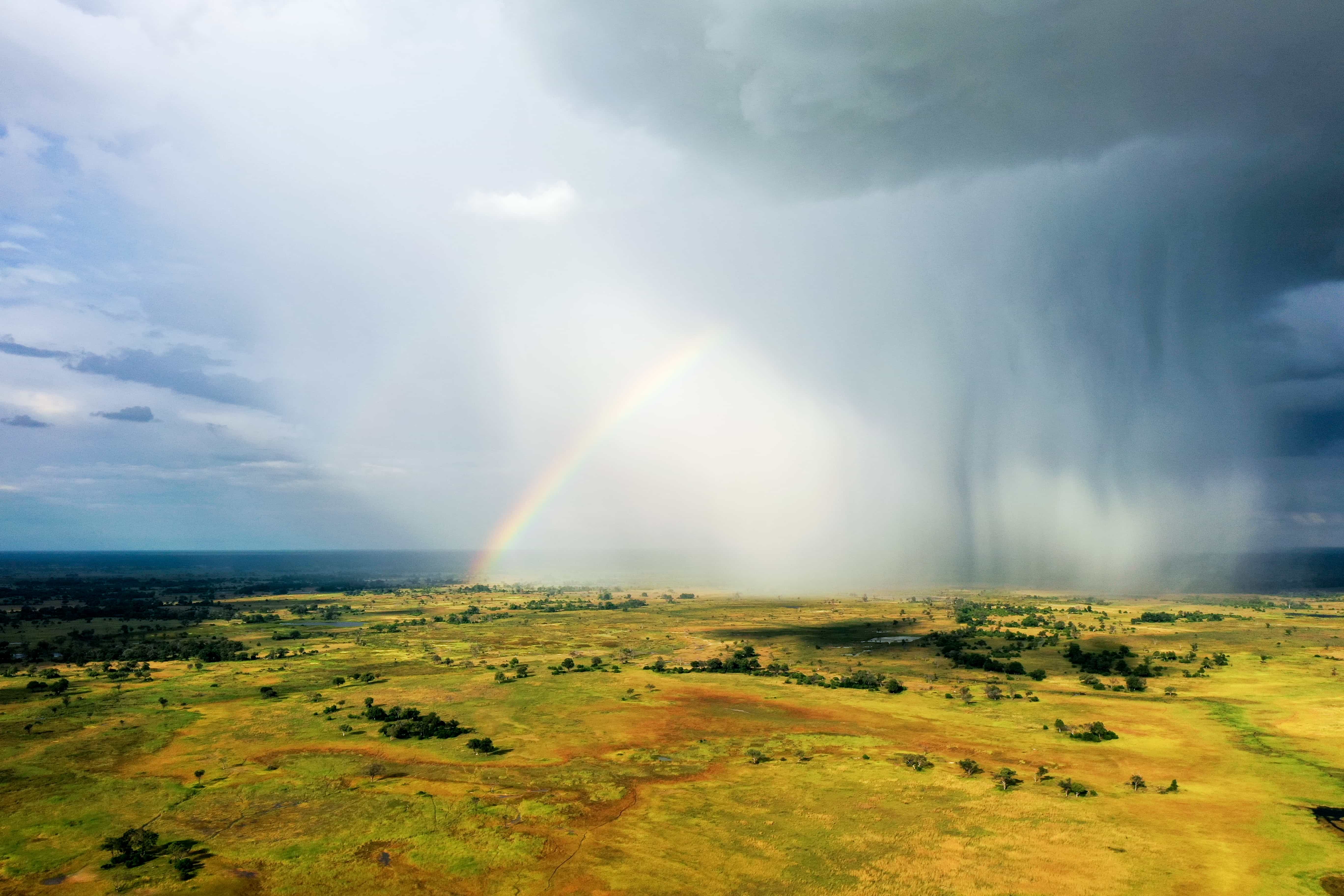 Moremi Game Reserve | Botswana Tourism Organisation