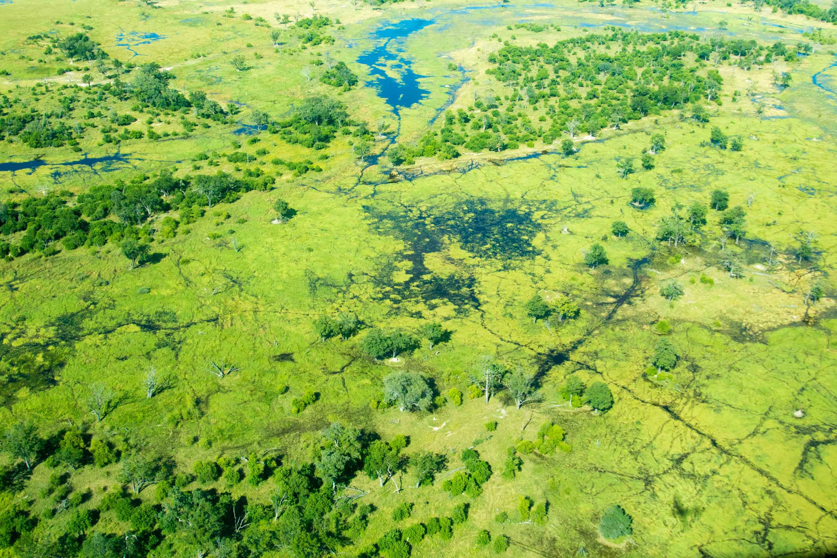 Moremi Game Reserve | Botswana Tourism Organisation