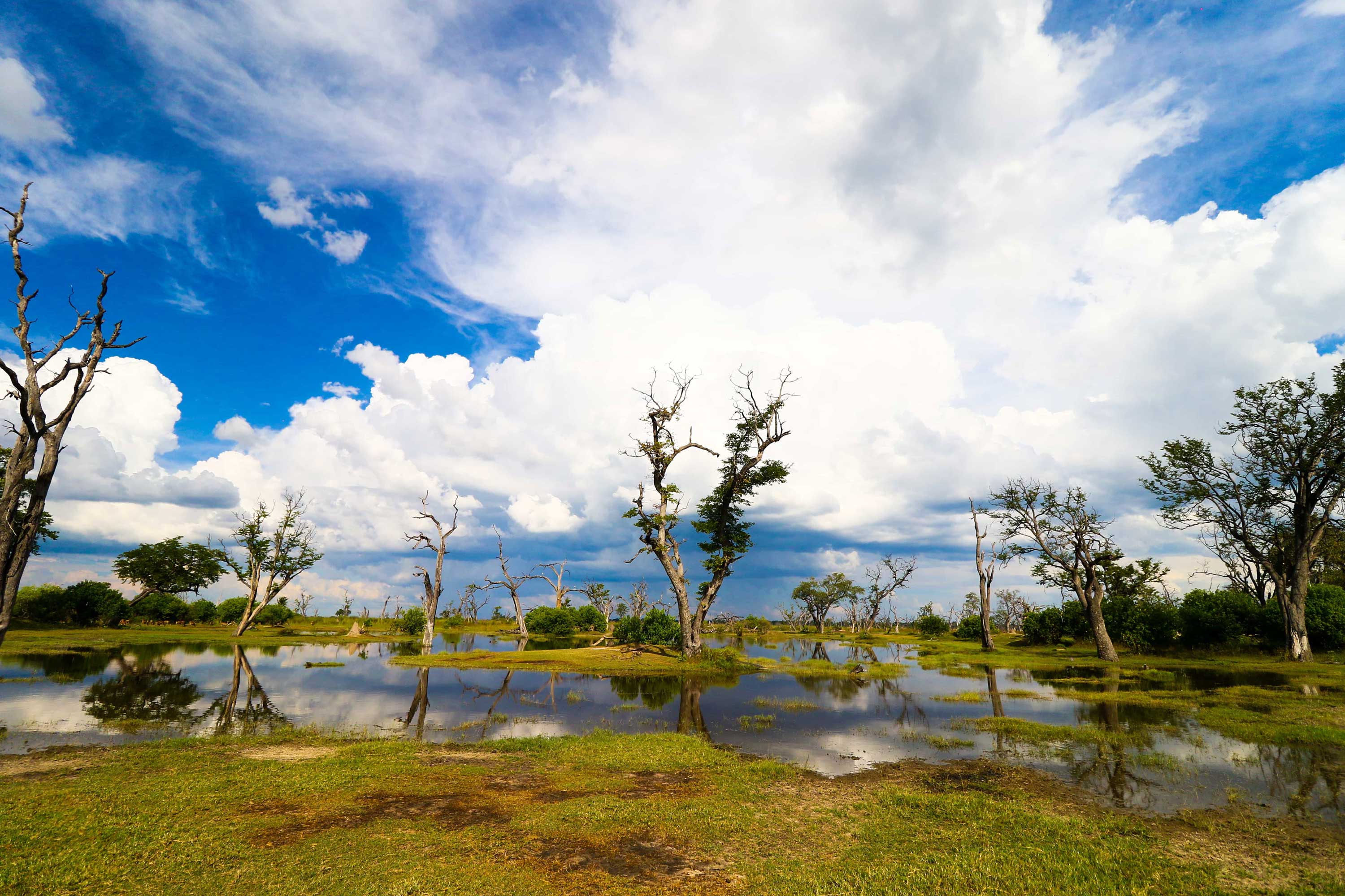 Moremi Game Reserve | Botswana Tourism Organisation