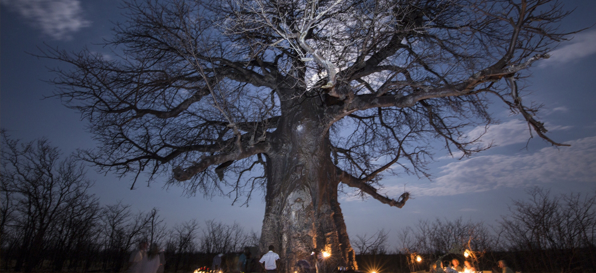 Default | Botswana Tourism Organisation