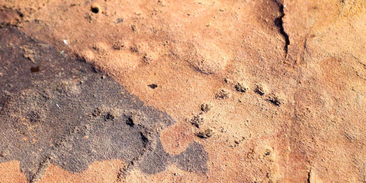 Matsieng Footprints | Botswana Tourism Organisation