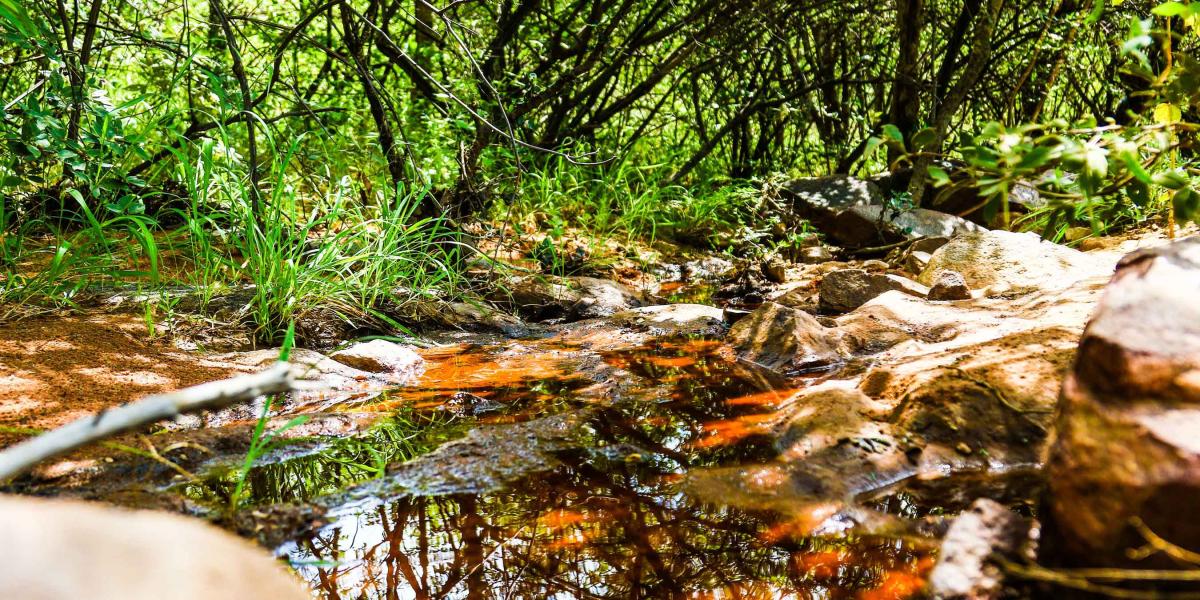 Old Palapye | Botswana Tourism Organisation