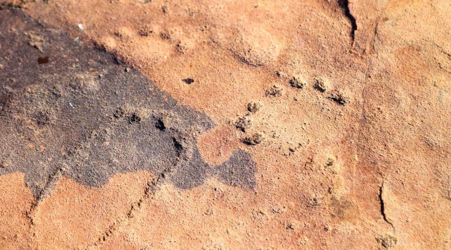 Matsieng Footprints | Botswana Tourism Organisation