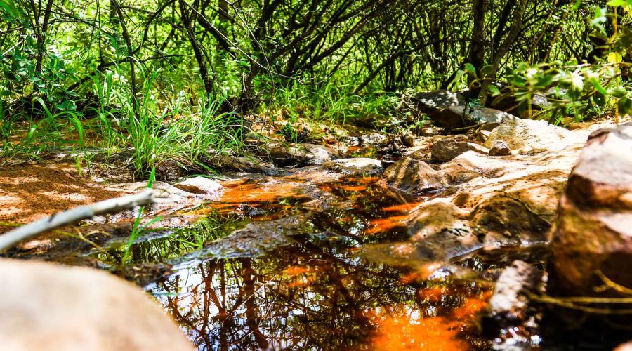 Old Palapye | Botswana Tourism Organisation