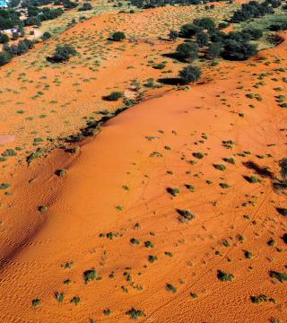 Home | Botswana Tourism Organisation