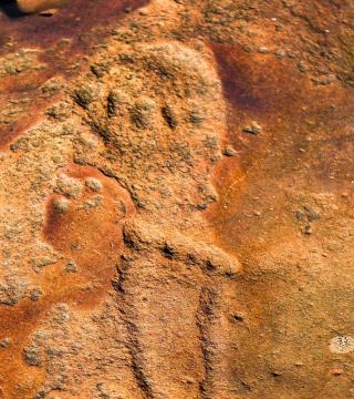 Home | Botswana Tourism Organisation